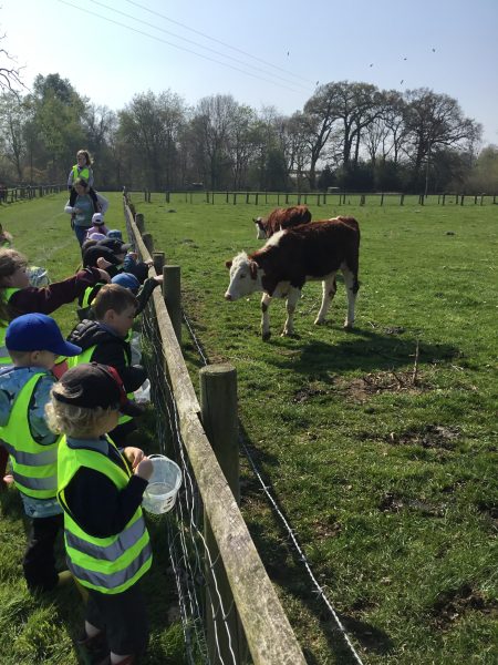 Attingham Home Farm Trip – Mereside CE Primary Academy